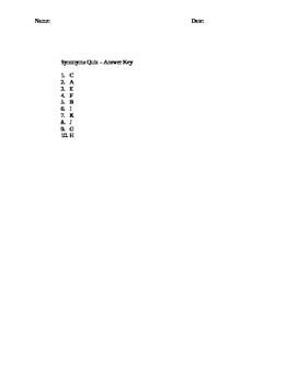 Synonyms Assessment (Quiz) – Engaging Einsteins