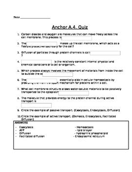 Cell Transport (active and passive) Assessment (Quiz) – Engaging Einsteins