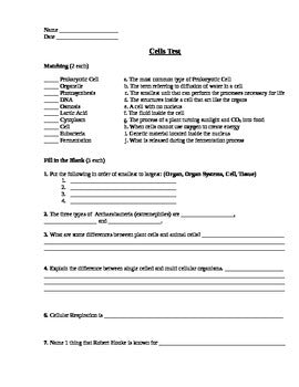 Cells Assessment (Test) – Engaging Einsteins