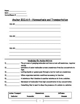 Passive And Active Transport Worksheet Cell Transport | Active